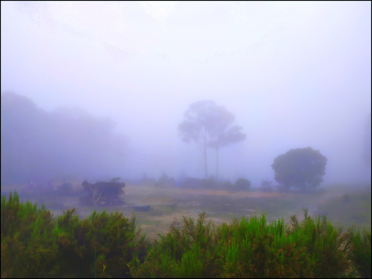 The Unthinkingness of Not Thinking | Meditation Makes Sense